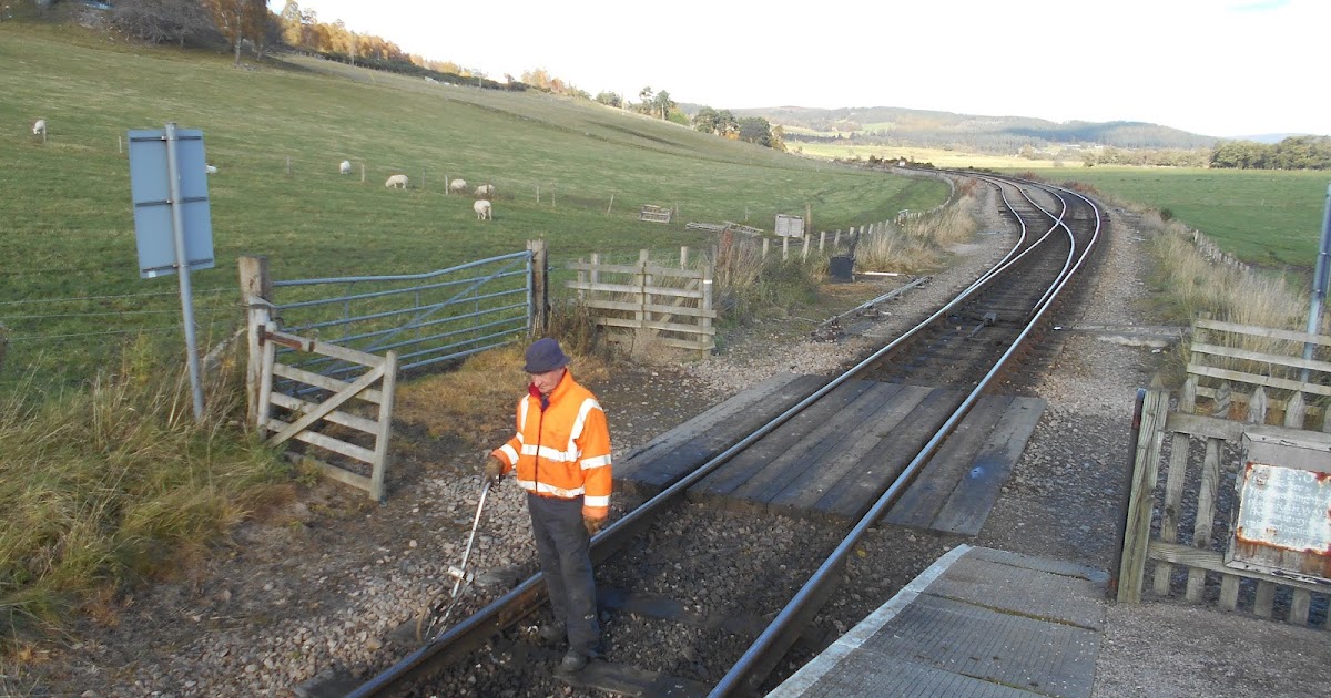 On Track at the Strathspey Railway: Level Crossing Sightlines and Ash ...