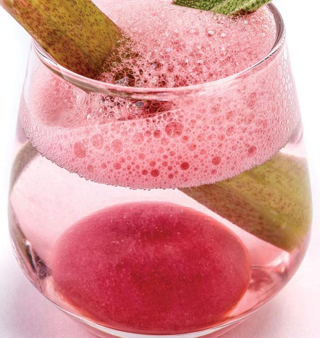 Culinary Physics: 4 Best Molecular Mixology Kit to Make Cocktails that ...