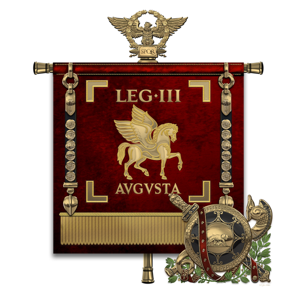 Military Insignia 3D