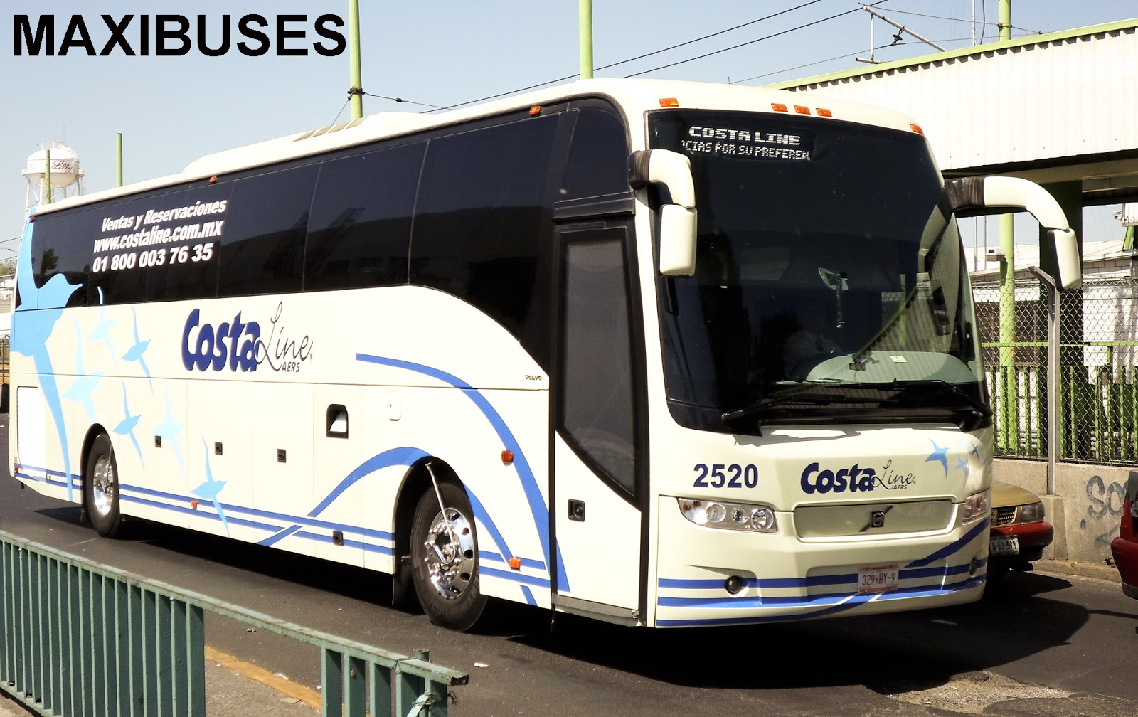 MAXIBUSES: COSTA LINE