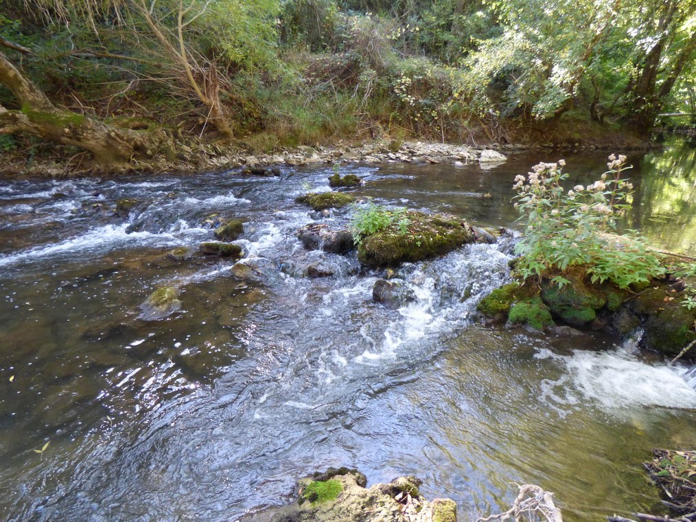 SALIDAS DE SENDERISMO ( VÍA VERDE DEL VASCO-NAVARRO Y SENDA FLUVIAL DEL ...