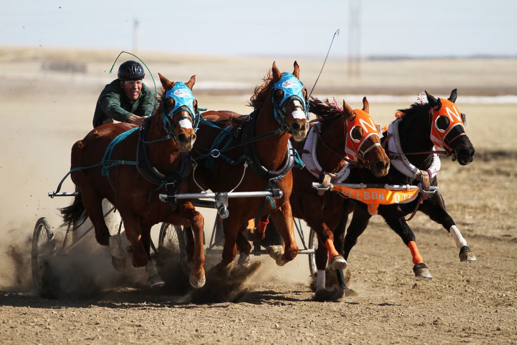 To Behold the Beauty: Chariot Racing...Alive and Well in the Western U. S.