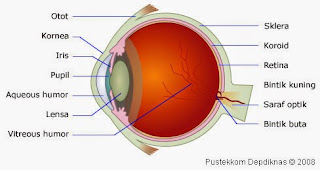 BAGIAN-BAGIAN MATA DAN PENGERTIANNYA