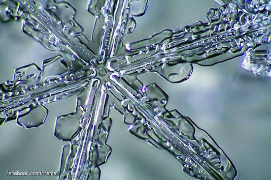 Interesting facts you didn't know: The largest snowflake ever