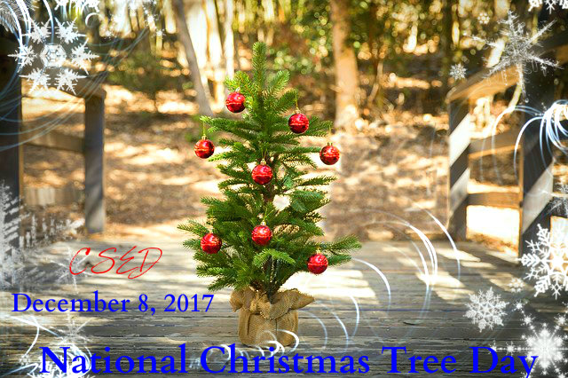 Crazy Days To Celebrate: December 8, 2017