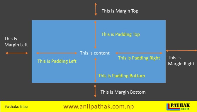 What Is Css Padding Do You Think It Is Necessary 2020 Updated August
