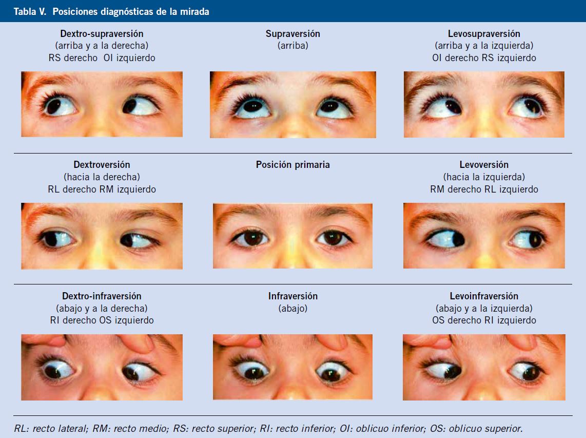 Semiología Y Salud: OJO