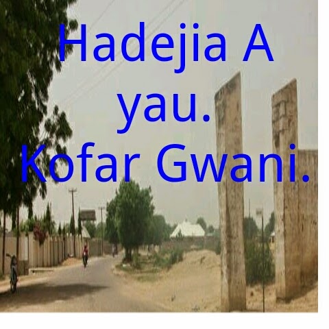 BY: SULEIMAN GINSAU HADEJIA A YAU! HADEJIA TOWN WALLS AND GATES ...