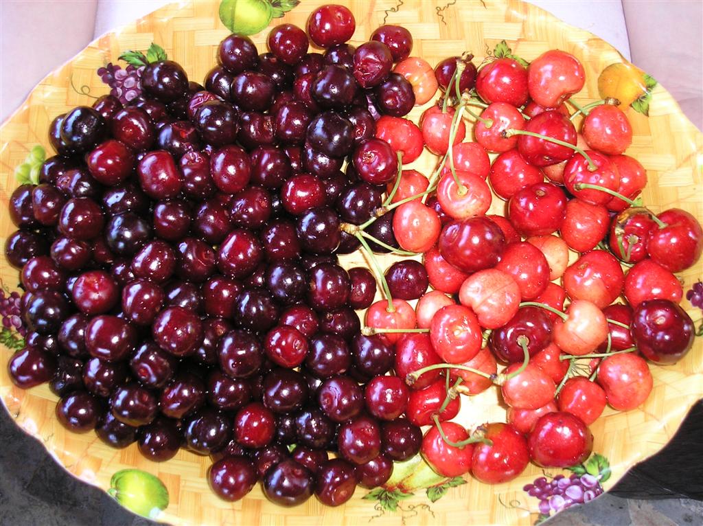 Aprendendo Croata: VOĆE - FRUTAS