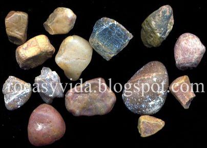 Rocas y vida. Notas de un naturalista.: Ventifactos y dreikanters ...