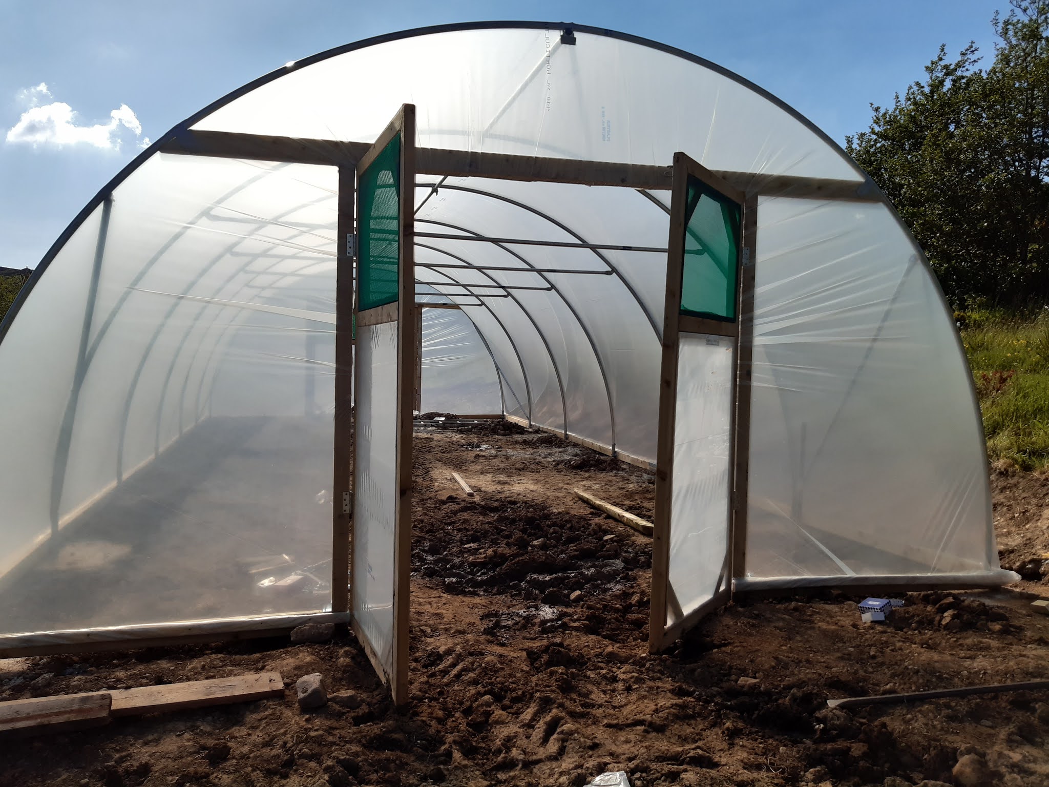 Viticulture in Ireland: Polytunnel is complete
