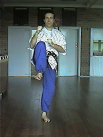 Back to basics: front kick