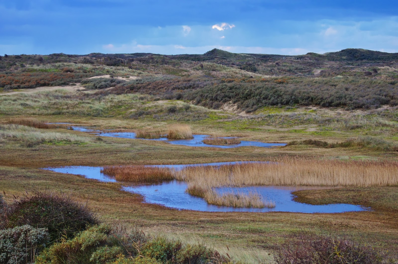 AMSTERDAMSE WATERLEIDINGDUINEN AWD: Duinen In Beweging