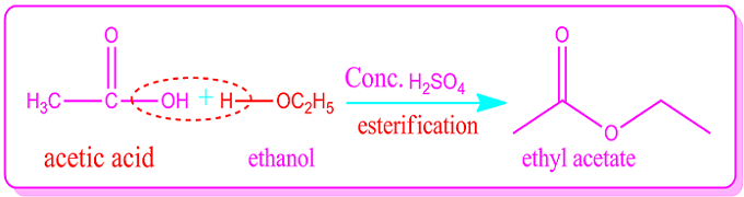 What is dehydration synthesis reaction in organic chemistry? - PG.CHEMEASY