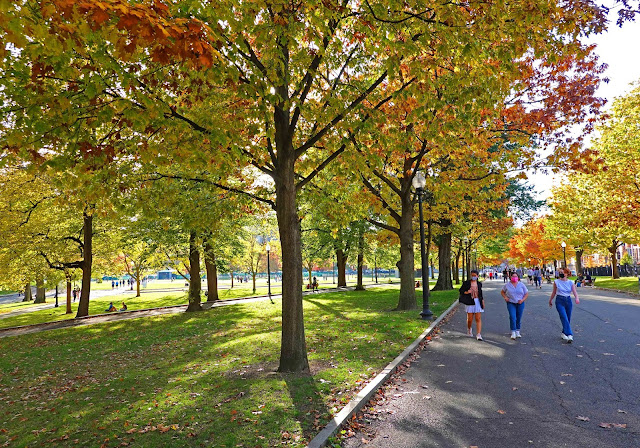 Joe's Retirement Blog: Fall - Boston Common, Boston, Massachusetts, USA