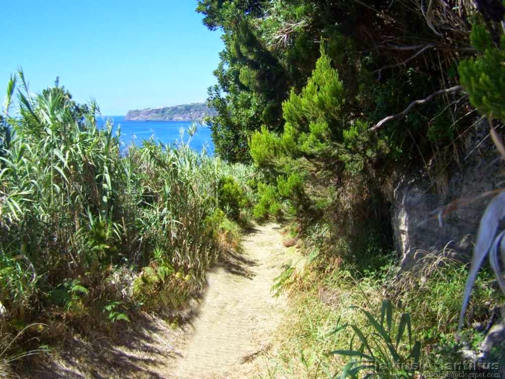 FLAVIUS ATLANTIKUS: Trilho da Praia da Amora - Ponta Garça (Vila Franca ...