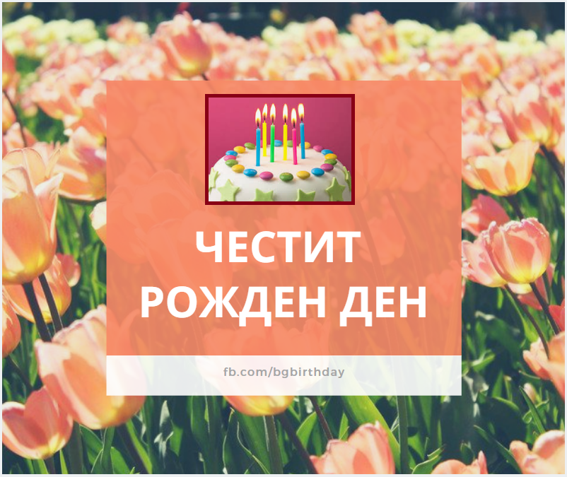 розова градина рожден ден поздравителна картичка Hbday Art Bg