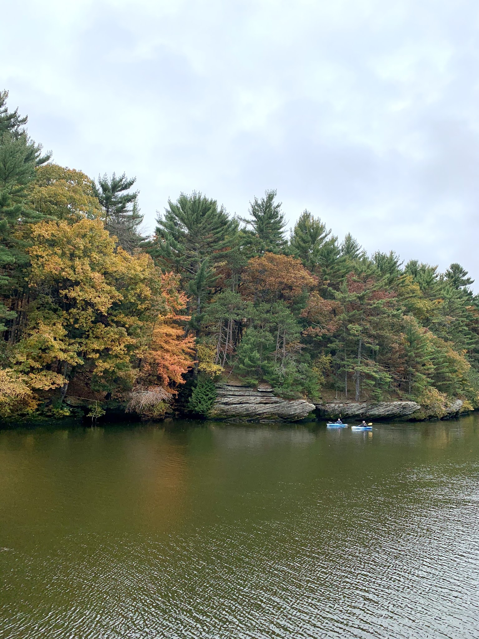 Amy's Creative Pursuits: A Fall Ride On The Upper Dells Boat Tour