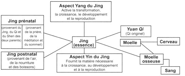 Blog Le Souffle du Menhir: Définition du Jing (essence)
