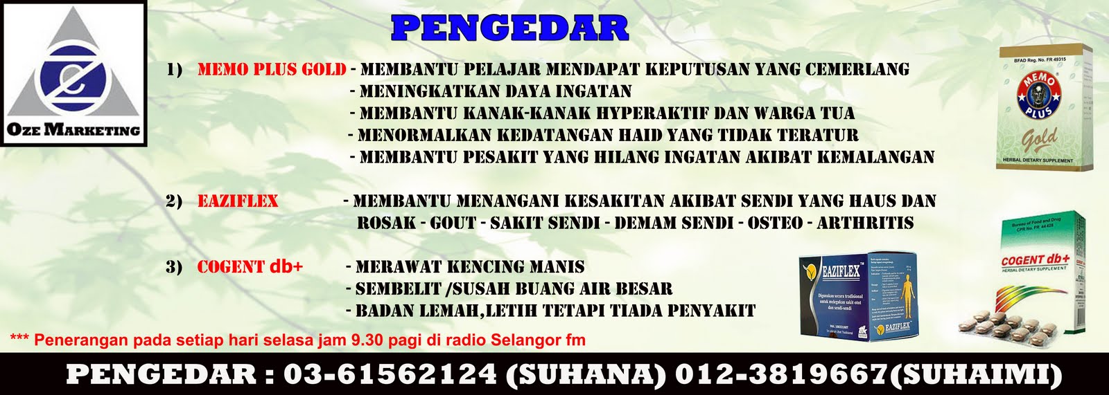 Memo plus gold: Memo Plus Gold