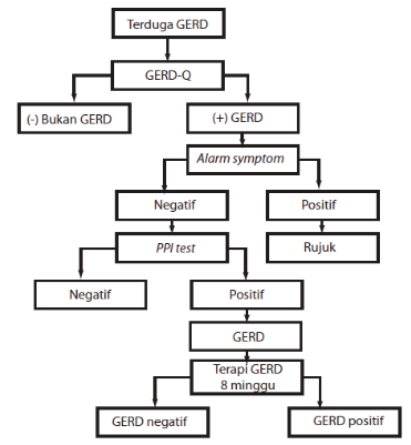 Gastroesophageal Reflux Disease (GERD) - Dasherfa