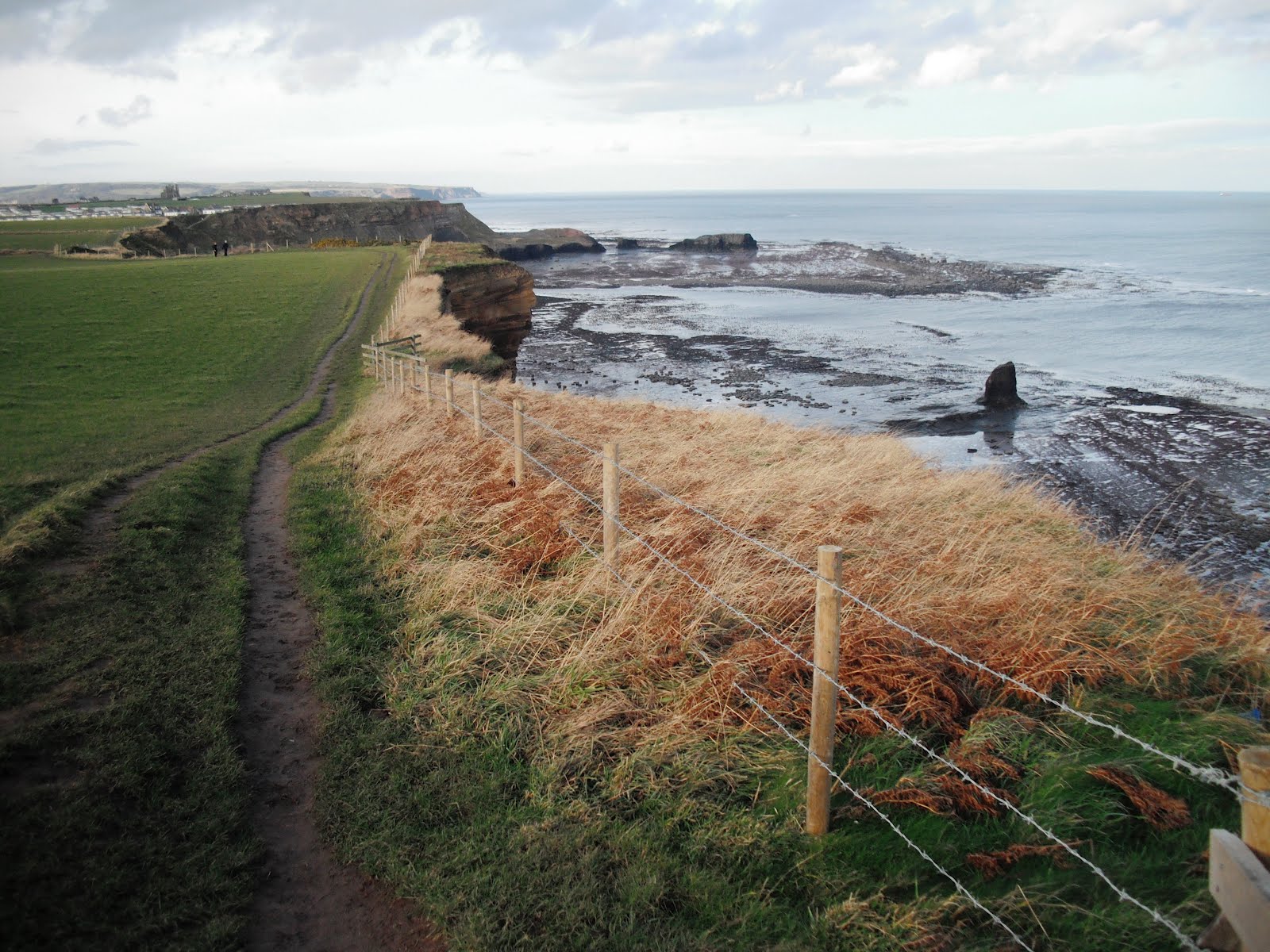 Love my life: Whitby Cinder Track and the Cleveland Way