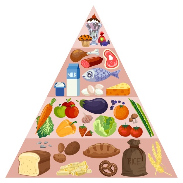What Is Food Pyramid What Is Food Pyramid