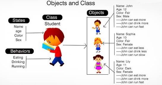 Object Oriented Paradigm