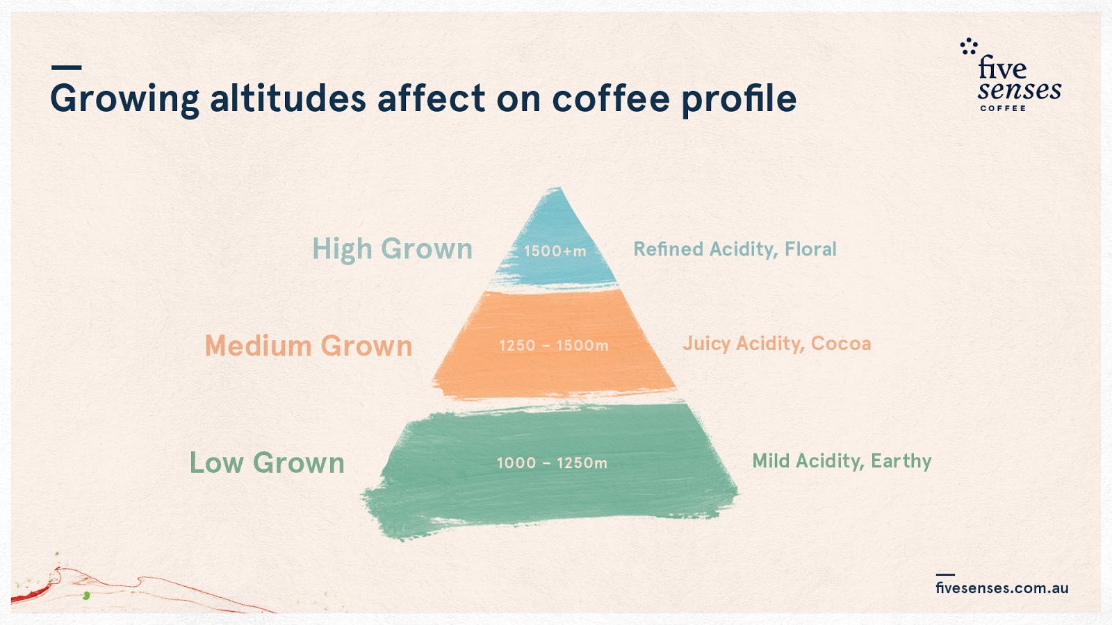 coffee selection guide
