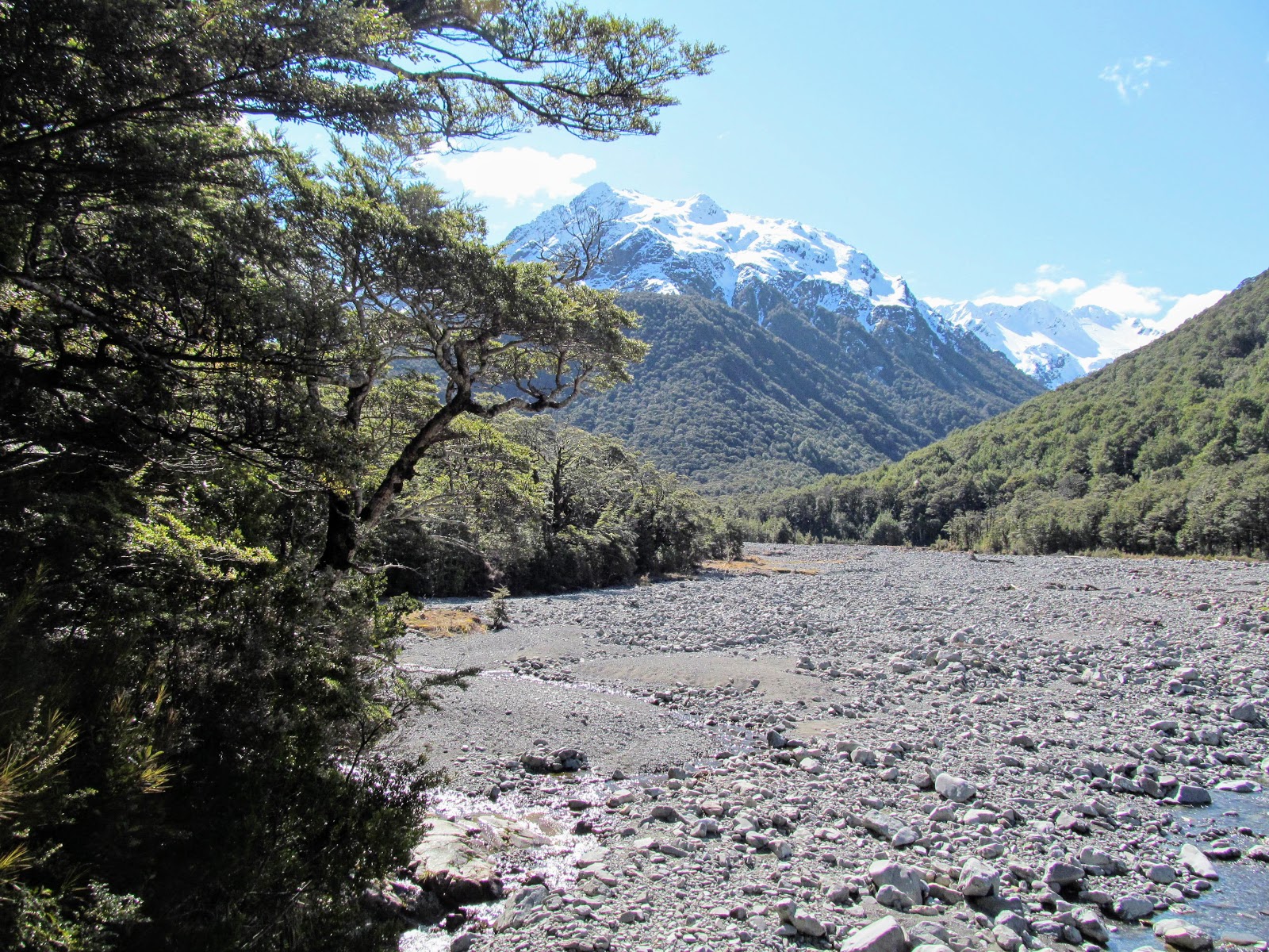 Tramping in the New Zealand backcountry: NZ Bush Adventures: Hawdon Hut ...