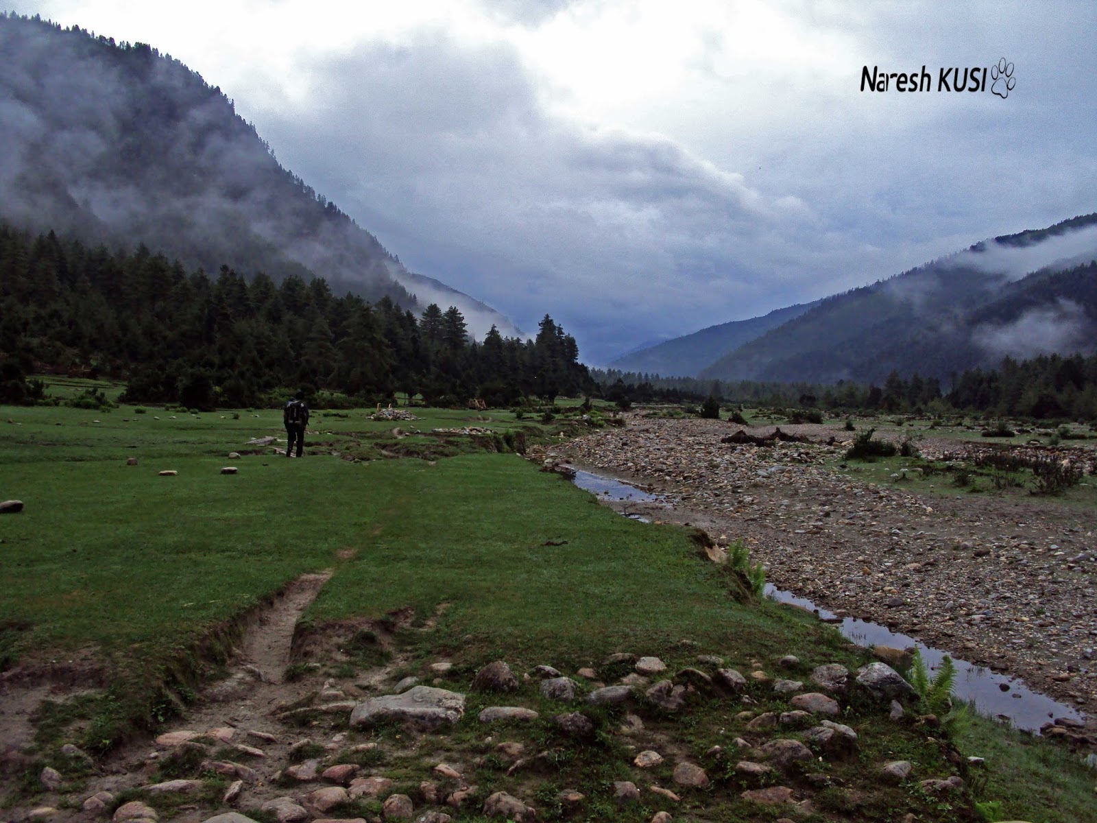 Nature and Wildlife: A SHORT TRIP TO DHORPATAN VALLEY