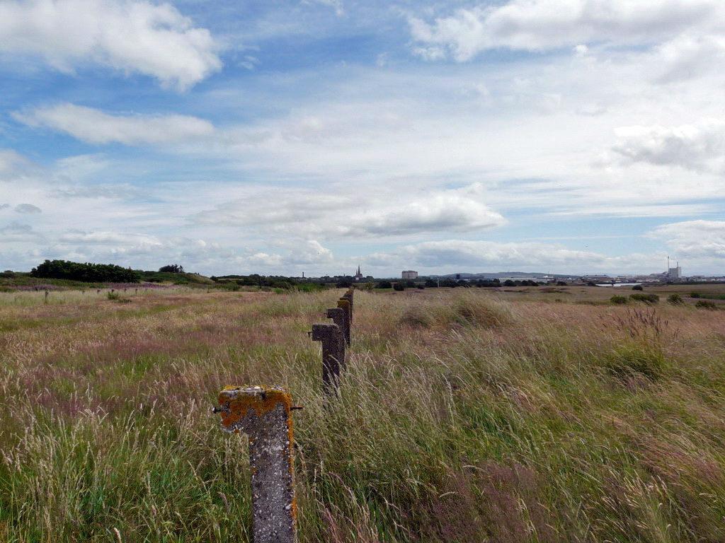 The Apprentice Jockey: Remnants of the past - Bogside Racecourse