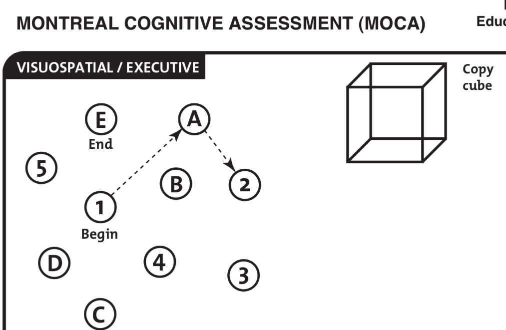 Solo in Stonington: MOCA
