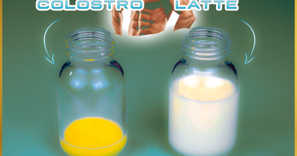 COLOSTRO E PRESTAZIONI