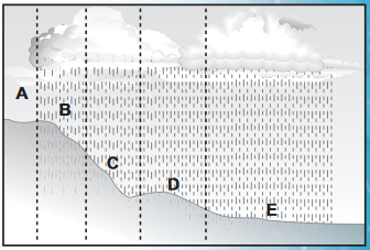 Erosi Tanah : Pengertian, Jenis, Penyebab, Dampak, Cara Mengatasi dan ...