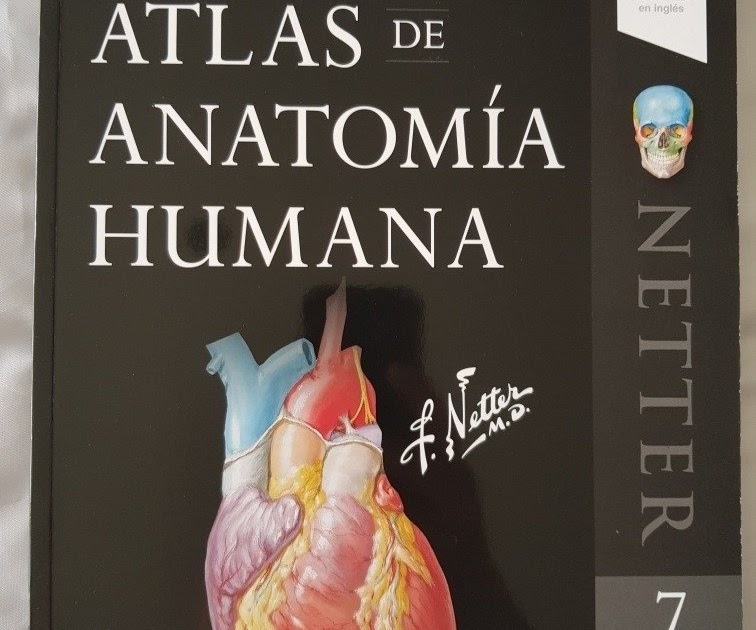 Kineyfisio: Atlas de anatomía humana / Netter / 7ma edición / mediafire ...