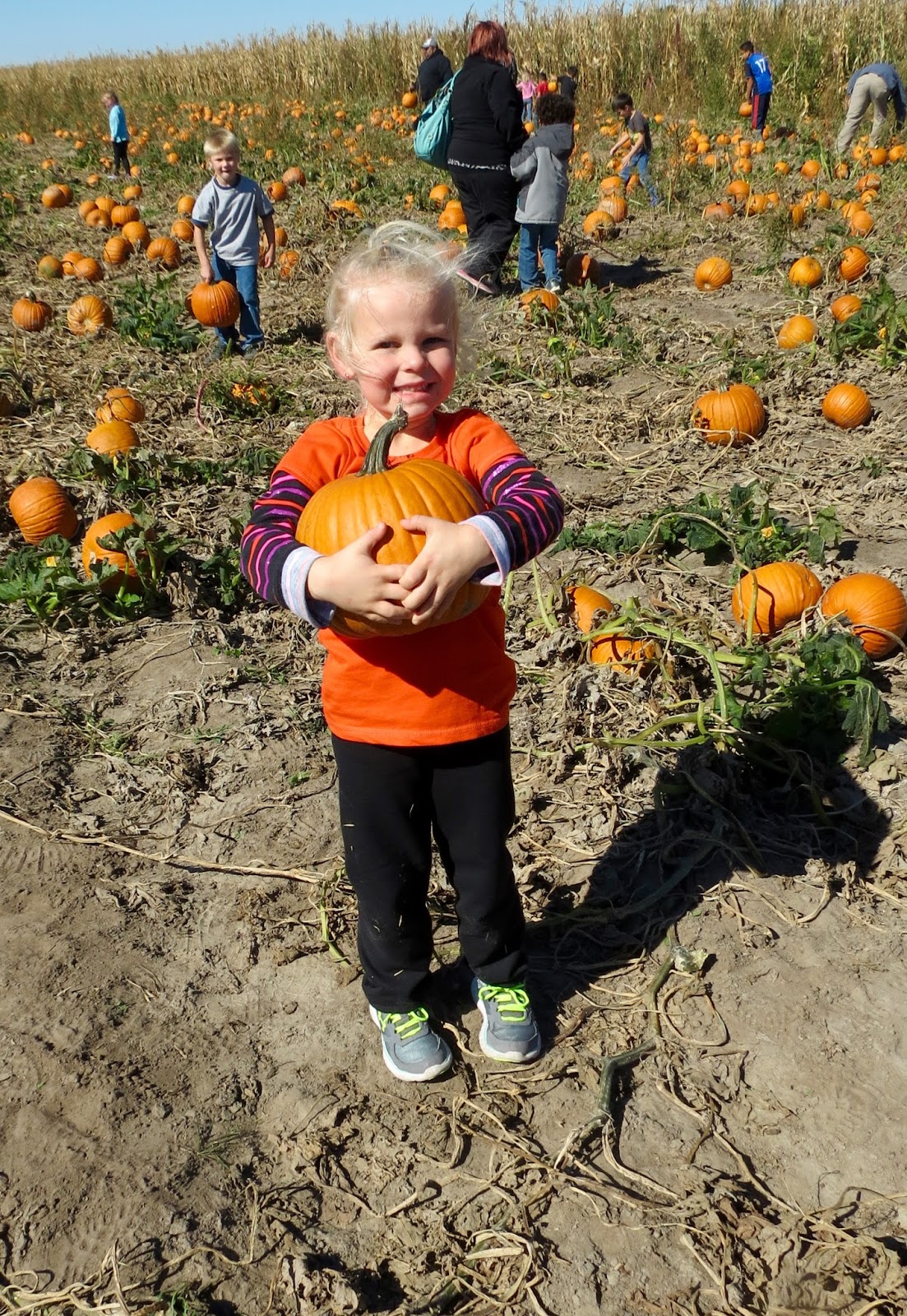Runcie Family: Pumpkin Patch Field Trip