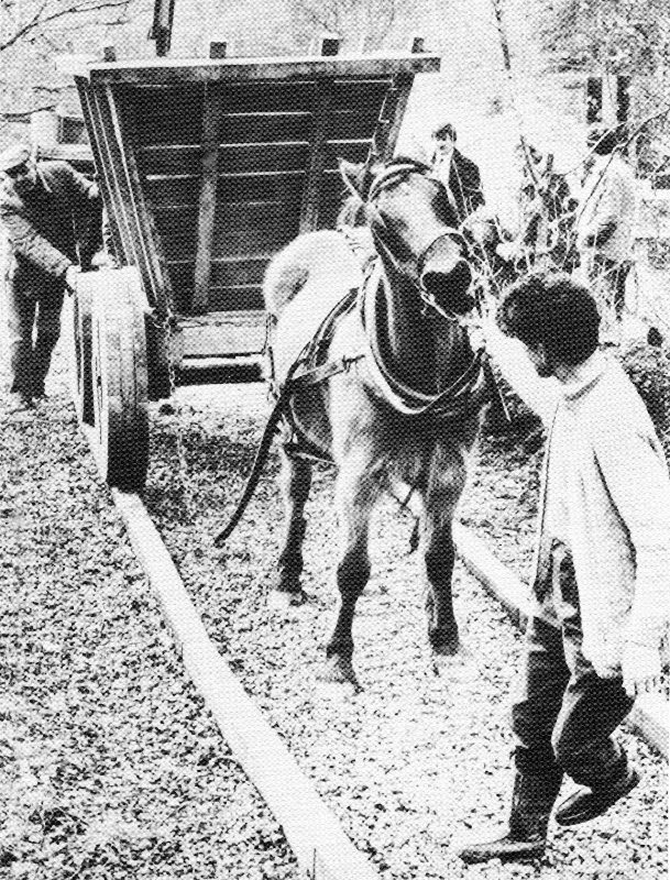 Tanfield Railway Blog: Tanfield Waggonway with Horses
