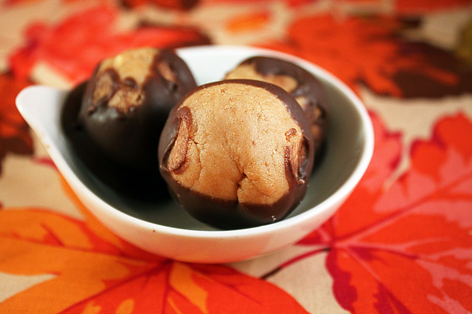 Ingredients of a 20something: Candy galore: Maple cashew fudge ...