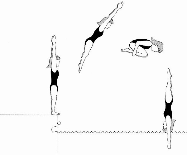 Rotational Dynamics | Conceptual notes | Important Questions | Short ...