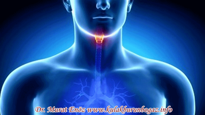 Larynx Cancer - Definition, Causes, Risk Factors, Symptoms and Treatment