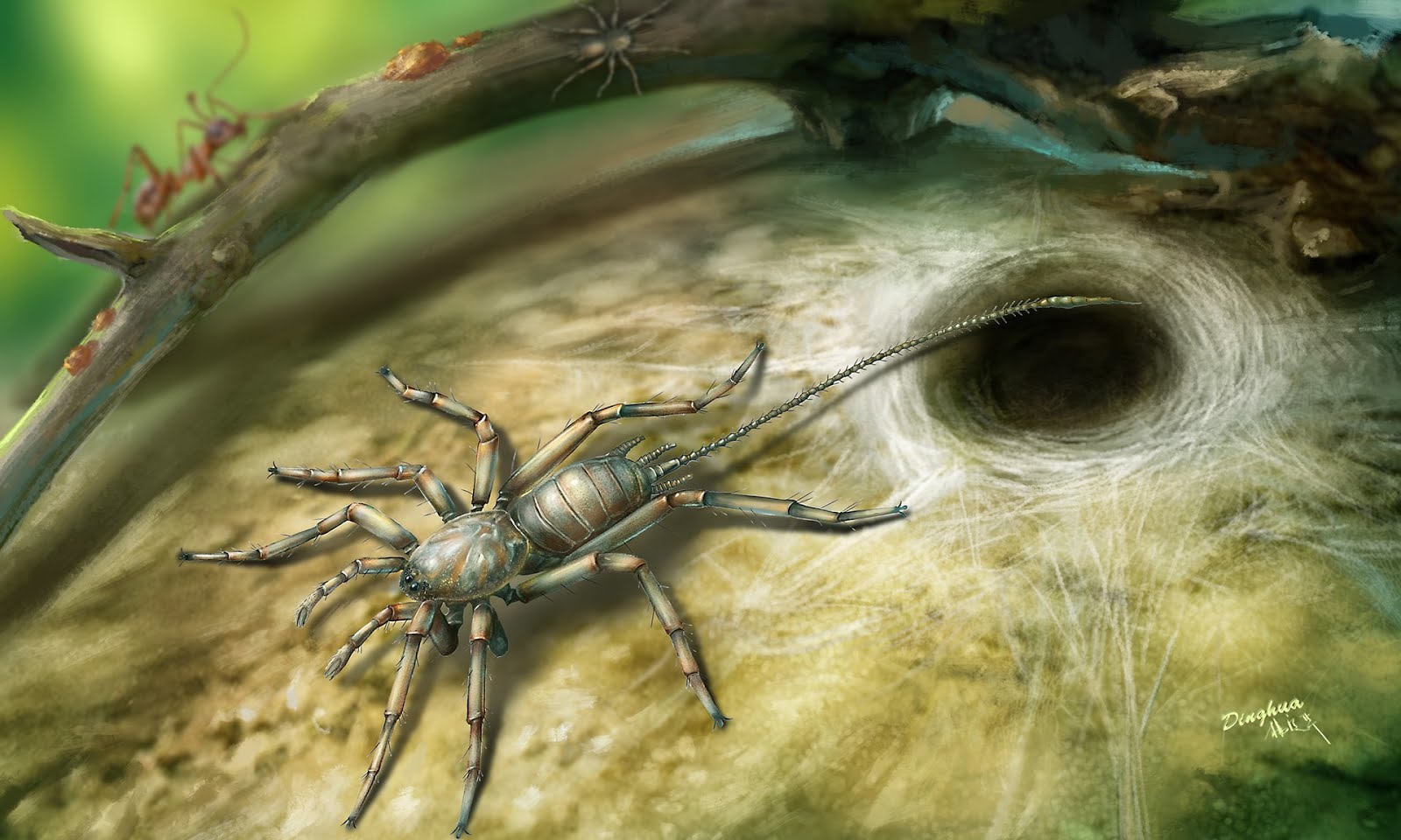 Species New to Science: [Paleontology / Arachnida • 2018] Chimerarachne ...