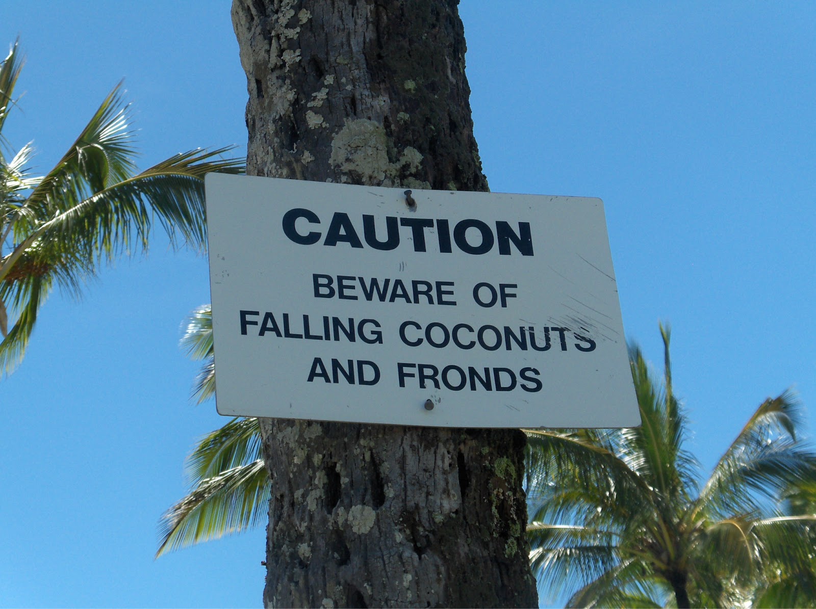 Malaysian Meanders: Hawaii is Dangerous Malaysian Meanders: Hawaii is Dangerous