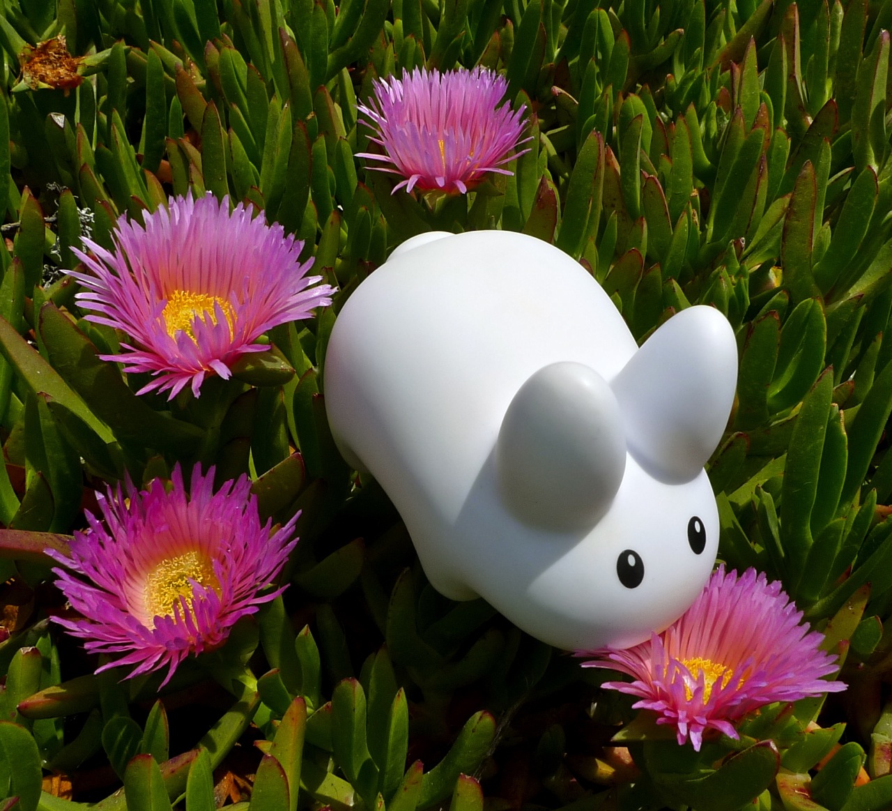 Year of the Labbit: May 2012