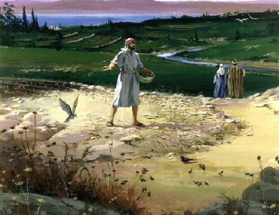 Parable of the soils