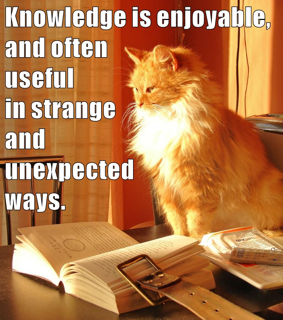 Growth Mindset & Feedback Cats: Knowledge is enjoyable