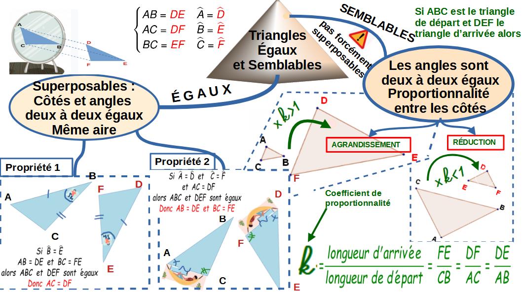Triangles égaux et triangles semblables