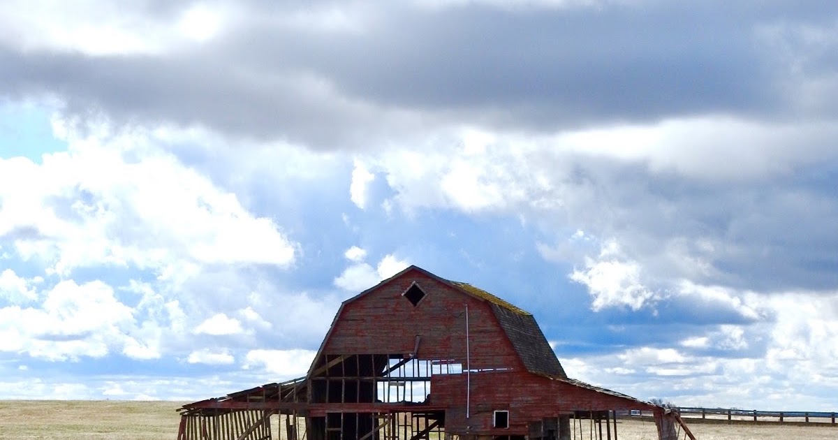 The view from here: Skeletal barn