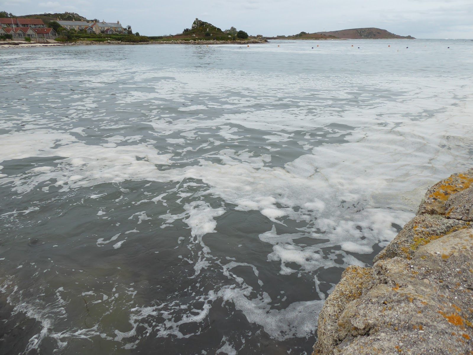 My antidote to the midweek blahs - colour therapy and beach walks ...