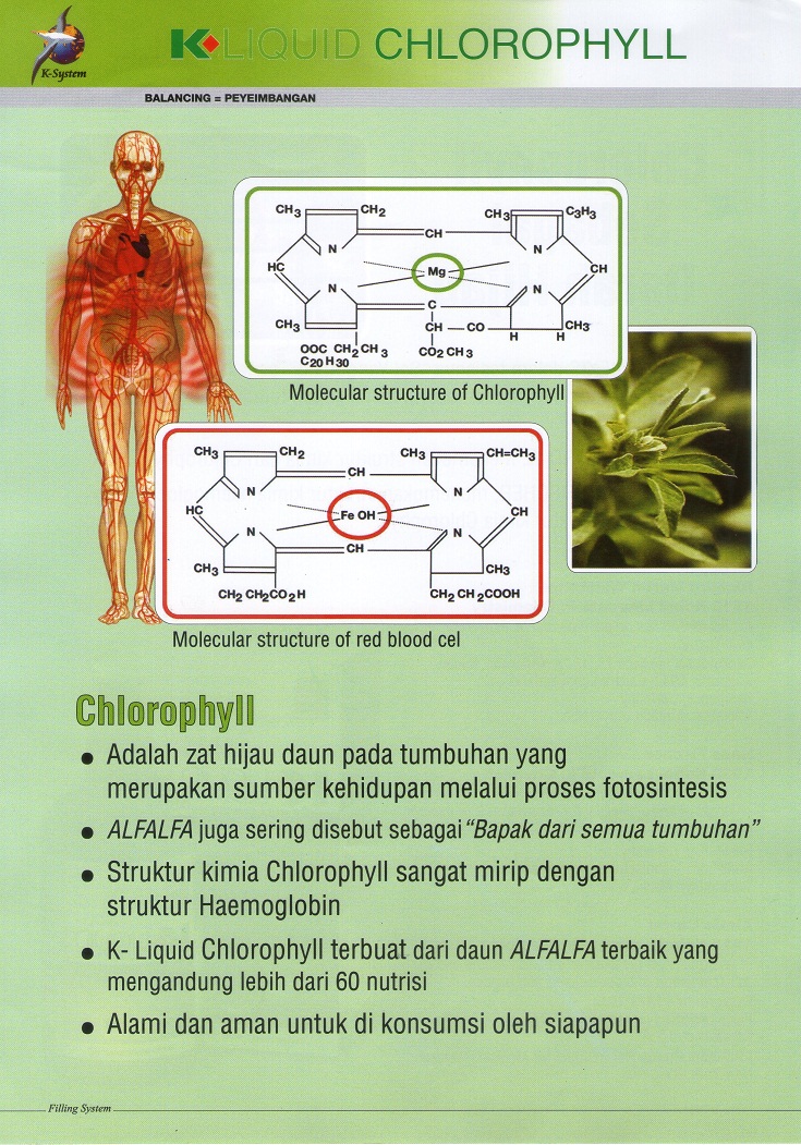 SOLUSI SEHAT & BEBAS FINANSIAL : MANFAAT K-LIQUID CHLOROPHYLL BAGI ...